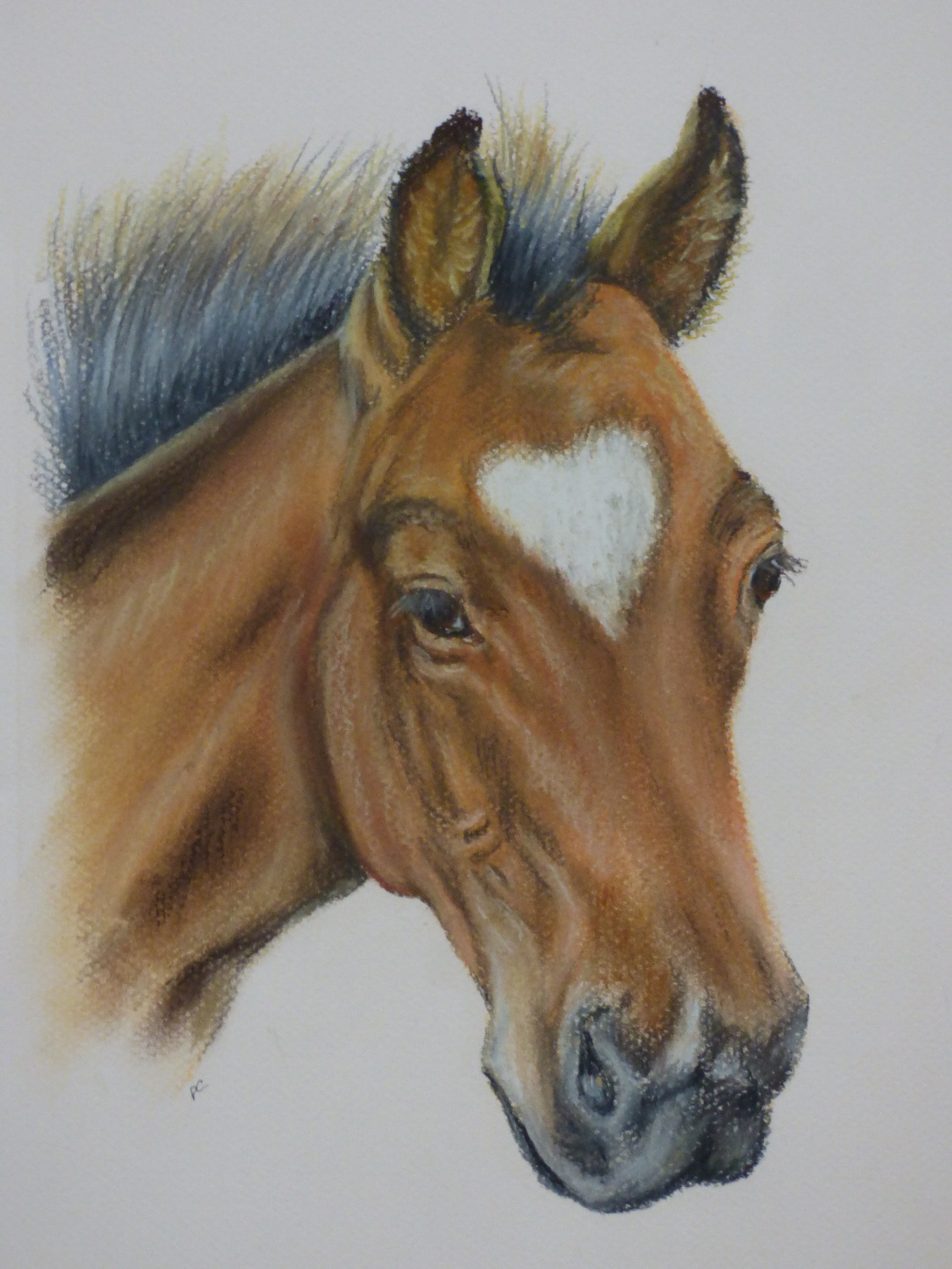 Sweetheart ⋆ Open Studios Ayrshire