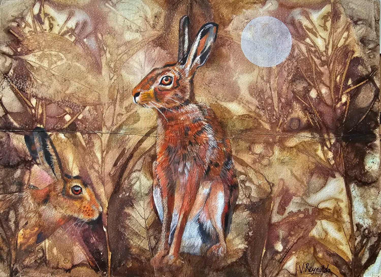 Member Directory ⋆ Open Studios Ayrshire